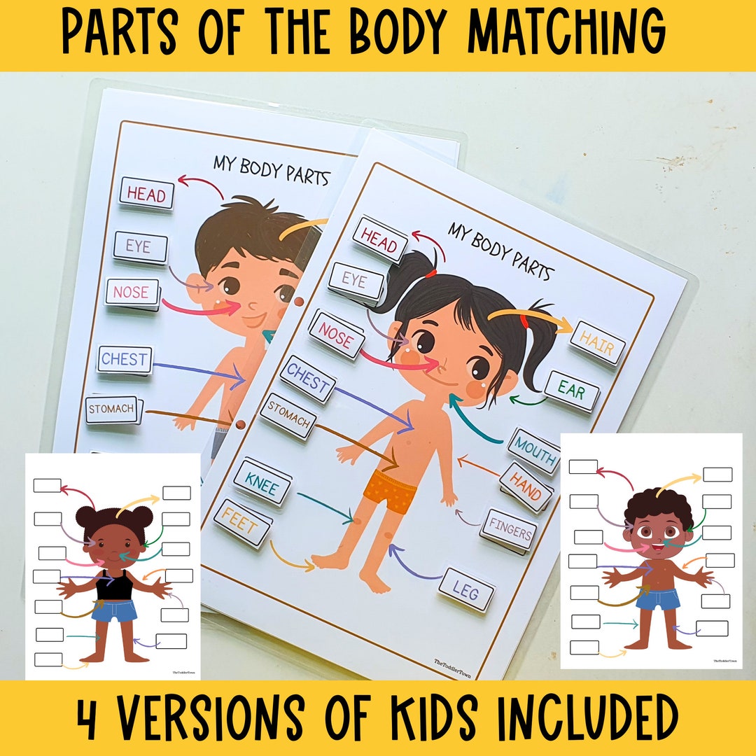 Busy Binder Activity|body Parts|homeschool Curriculum|preschool ...