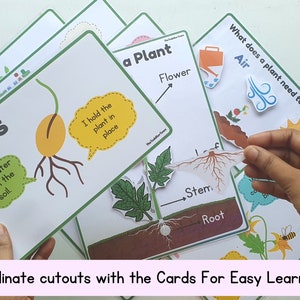 All About Plants Preschool Printable, Preschool Curriculum,preschool ...