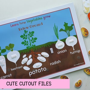 Toddler Busy Book Activity, Busy Binder, Preschool Curriculum, Plants ...