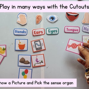 Five Senses Learning Bundle for Preschool,5 Senses Sorting Activity ...