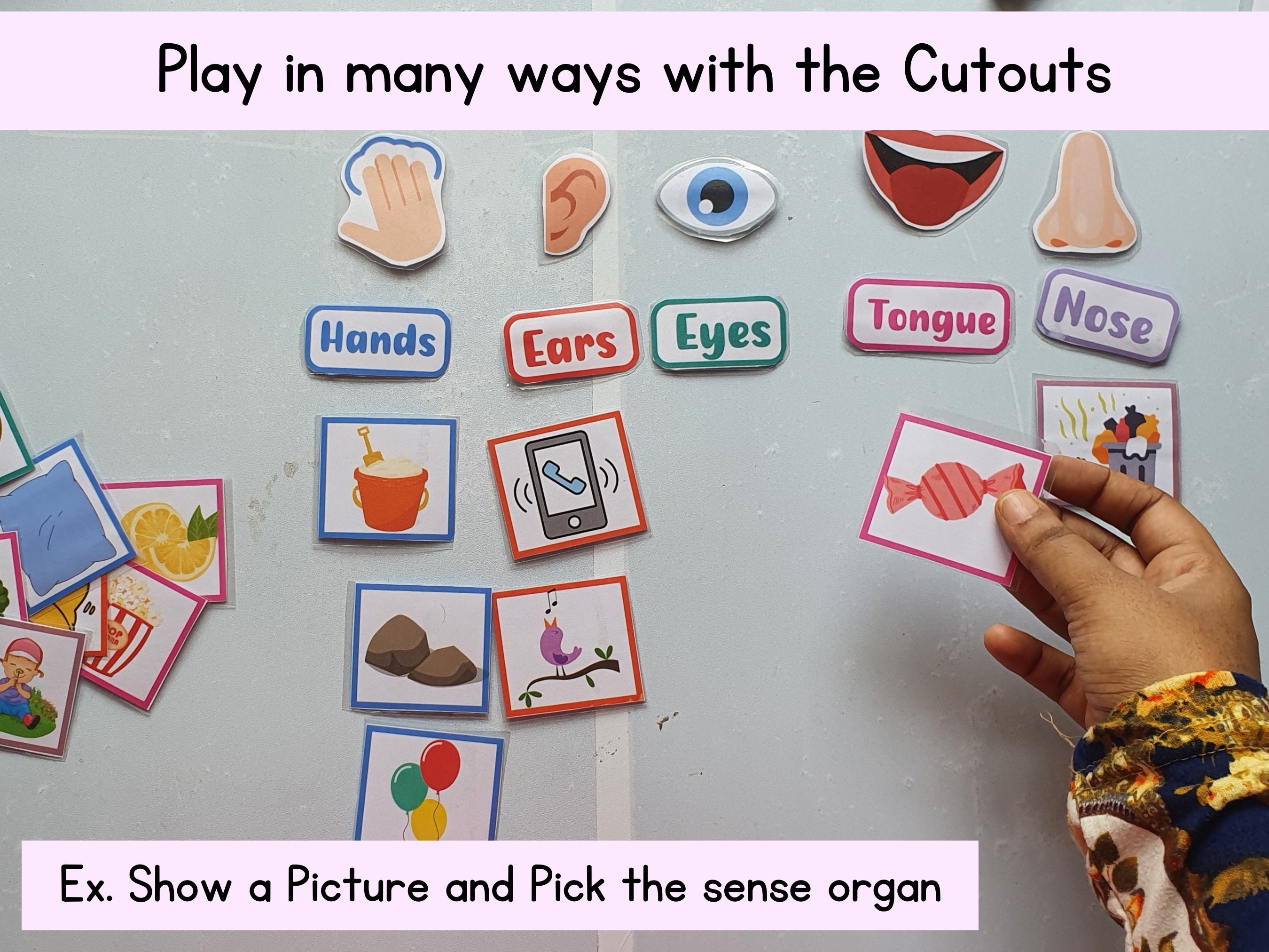 Five Senses Learning Bundle for Preschool,5 Senses Sorting Activity ...