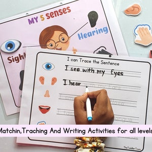 Five Senses Leaning Busy Binder,toddler Busy Book, Preschool Curriculum ...