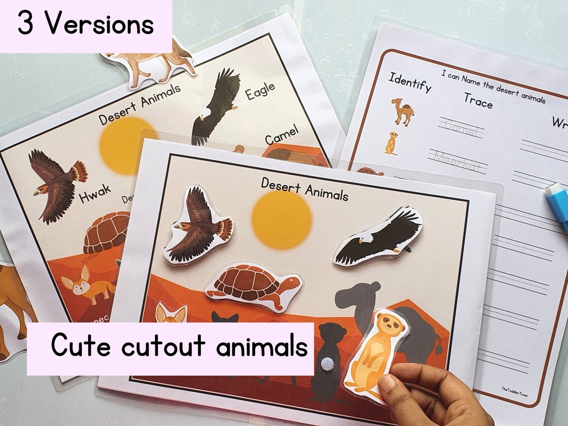 Arctic and Desert Animals Matching, Toddler Busy Book Page, Preschool ...