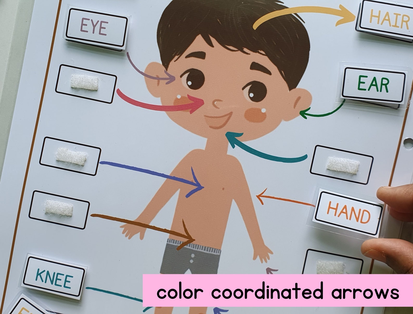 Busy Binder Activitybody Partshomeschool - Etsy