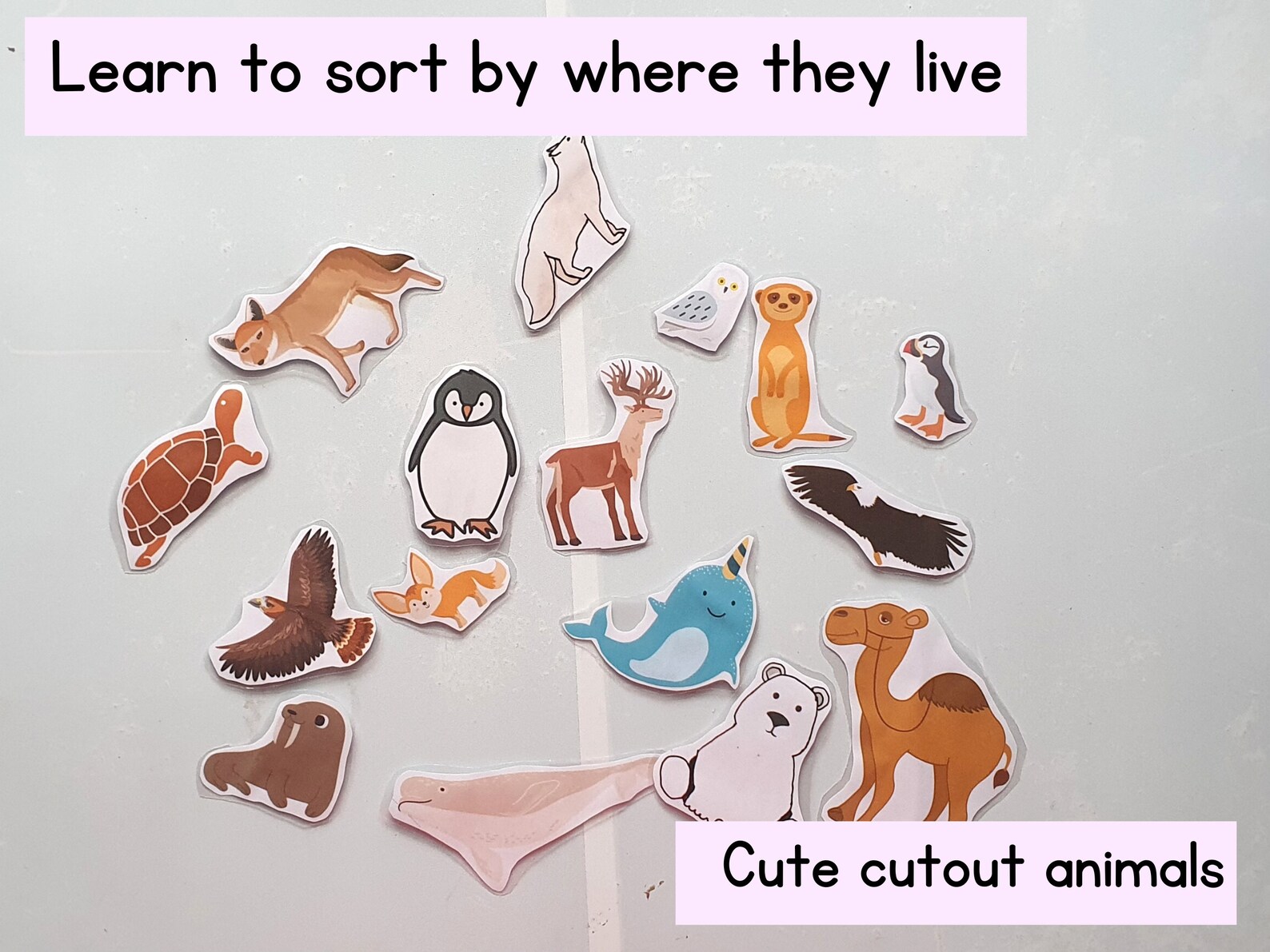 Arctic and Desert Animals Matching, Toddler Busy Book Page, Preschool ...