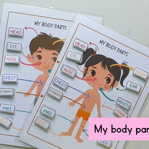 Toddler Busy Book Printable First Learning Binder - Etsy India