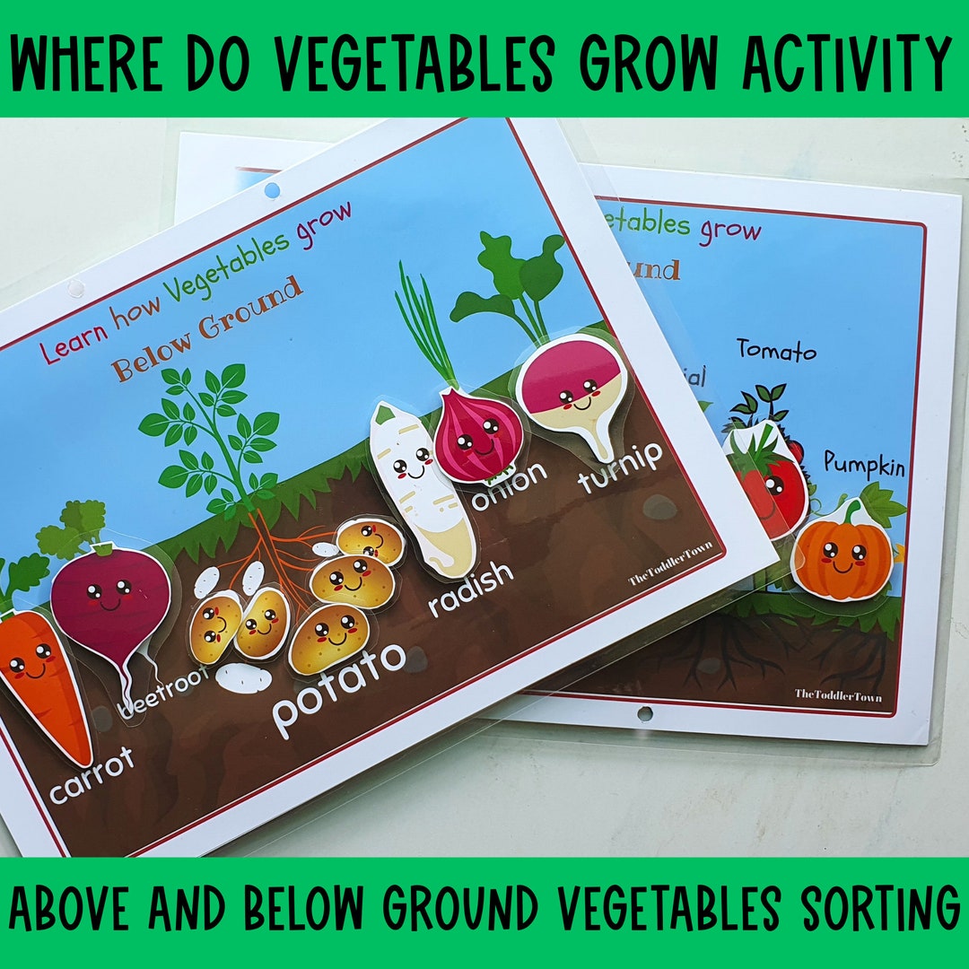 Toddler Busy Book Activity, Busy Binder, Preschool Curriculum, Plants ...