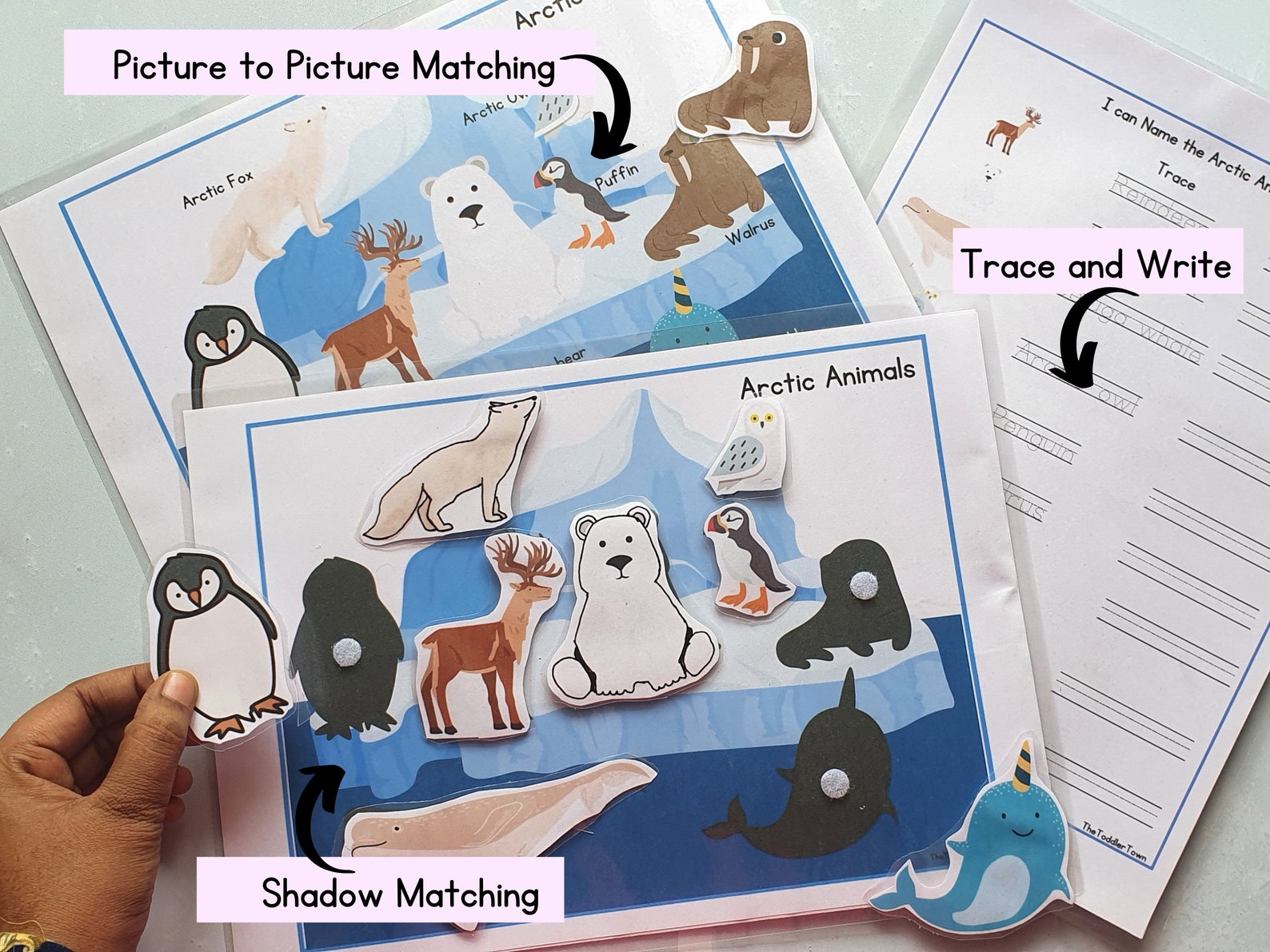 Arctic and Desert Animals Matching, Toddler Busy Book Page, Preschool ...