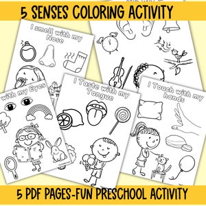 Five Senses Learning Bundle for Preschool,5 Senses Sorting Activity ...