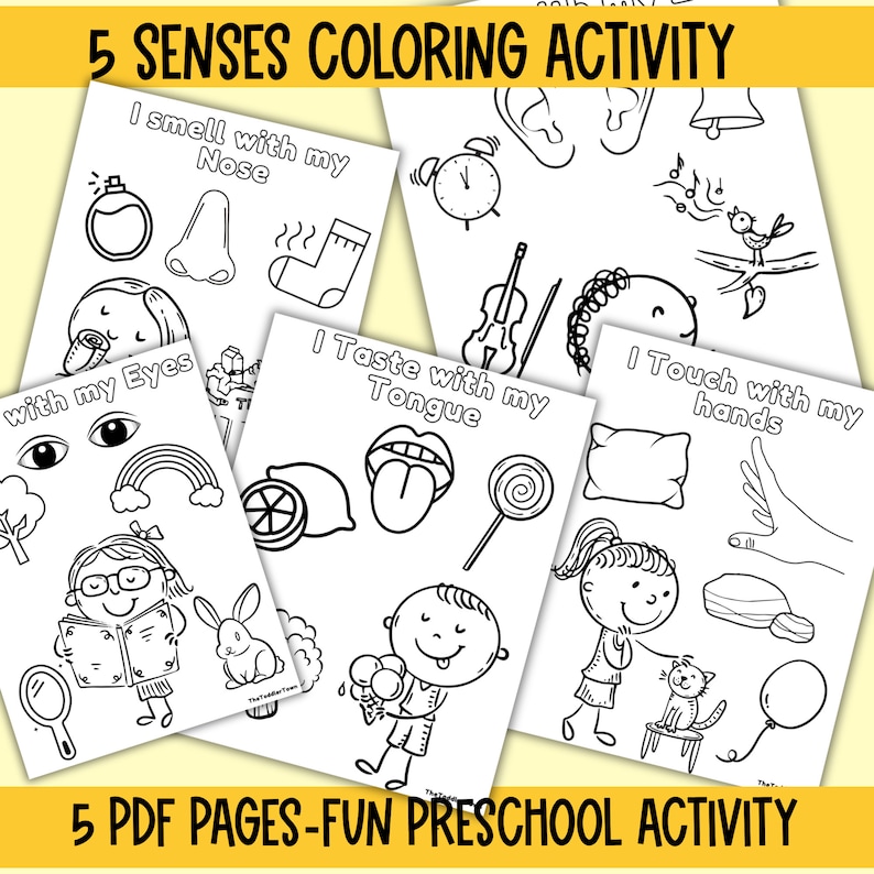 Five Senses Learning Bundle for Preschool,5 Senses Sorting Activity ...