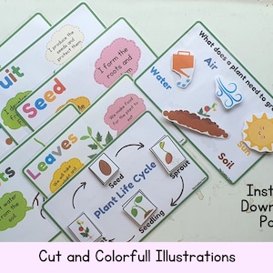 All About Plants Preschool Printable, Preschool Curriculum,preschool ...