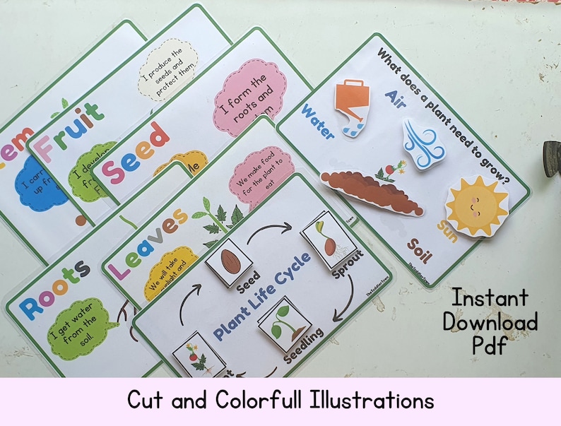 All About Plants Preschool Printable, Preschool Curriculum,preschool ...