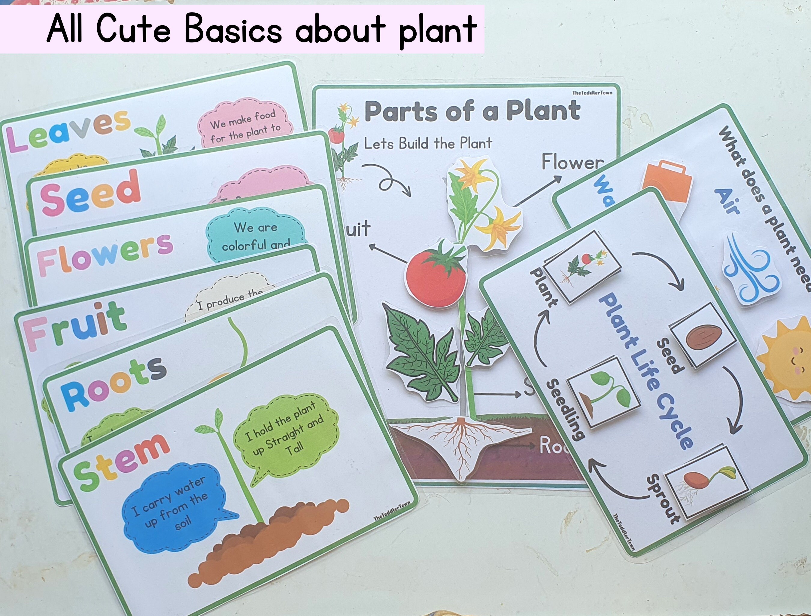 All About Plants Preschool Printable, Preschool Curriculum,preschool ...