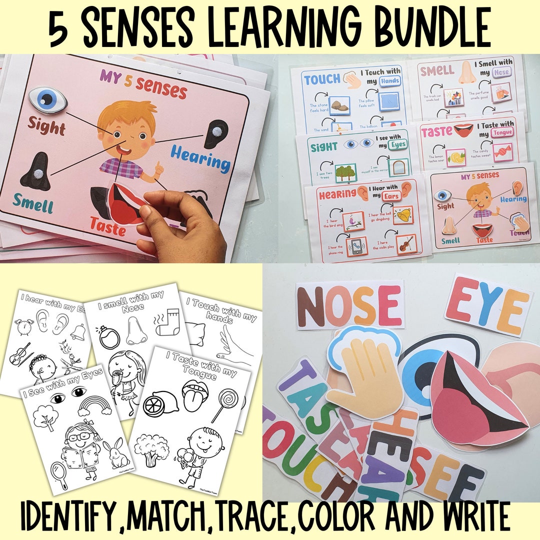 Five Senses Learning Bundle for Preschool,5 Senses Sorting Activity ...