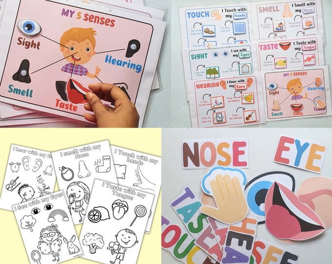 Five Senses Sorting Activity, 5 Senses Classification Game ...