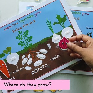 Toddler Busy Book Activity, Busy Binder, Preschool Curriculum, Plants ...
