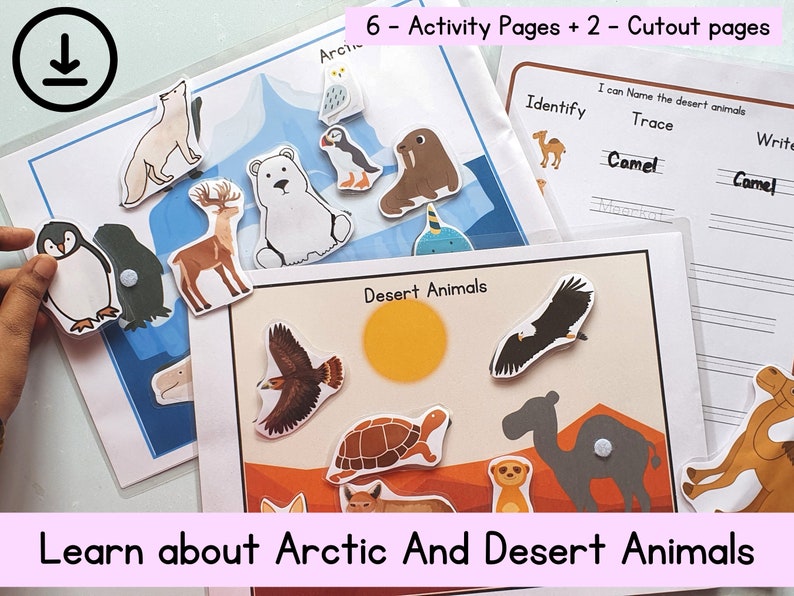 Arctic and Desert Animals Matching Toddler Busy Book Page - Etsy
