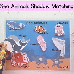 Animals Learning Preschool Bundle, Preschool Curriculum, Toddler ...