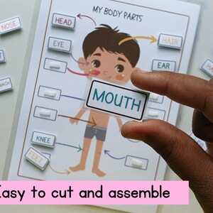 Busy Binder Activity|body Parts|homeschool Curriculum|preschool ...