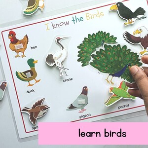 Animals Matching for Toddlers First Busy Book,preschool Curriculum ...