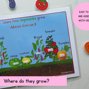 Toddler Busy Book Activity, Busy Binder, Preschool Curriculum, Plants ...