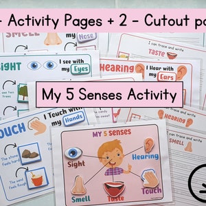 Five Senses Learning Bundle for Preschool,5 Senses Sorting Activity ...
