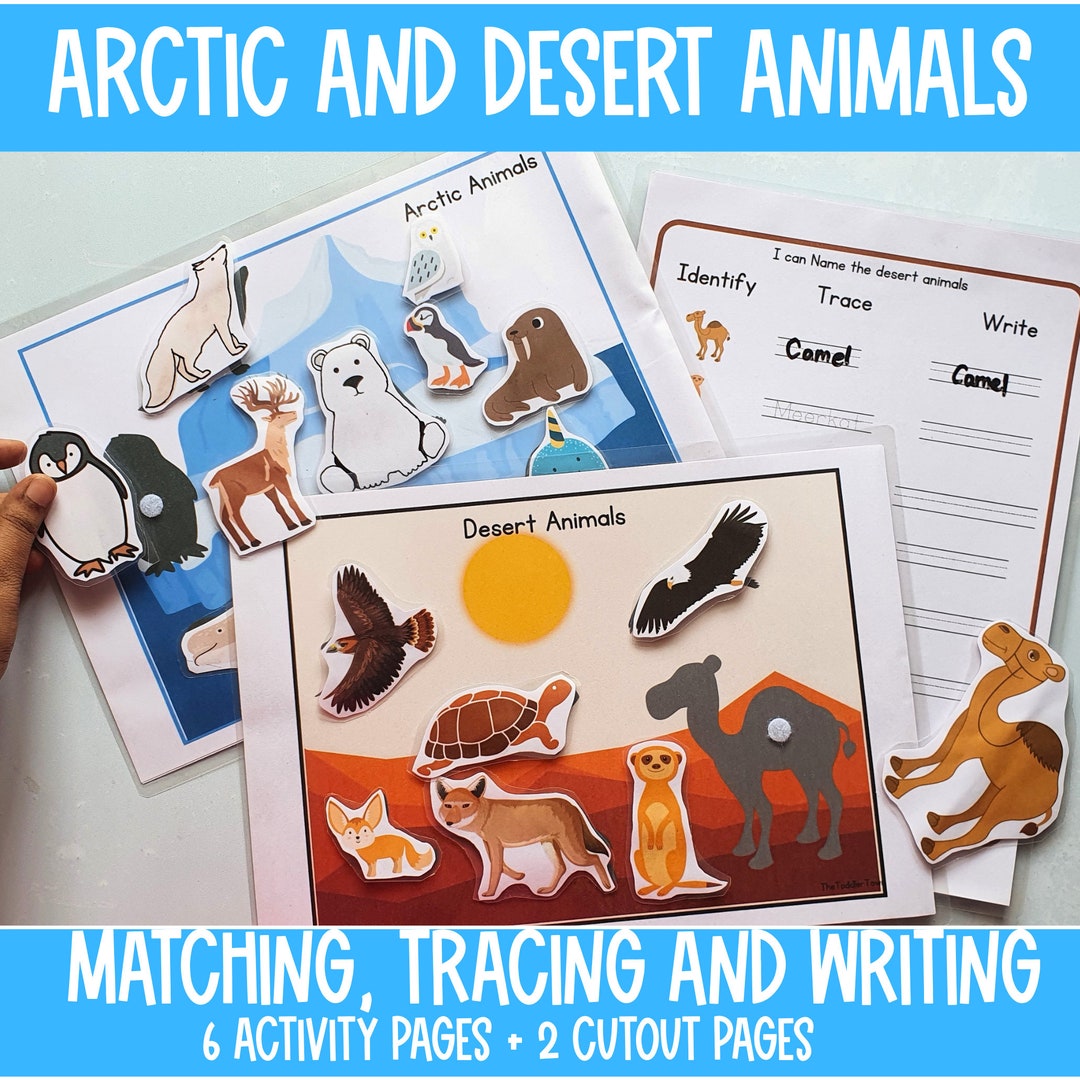 Arctic and Desert Animals Matching, Toddler Busy Book Page, Preschool ...