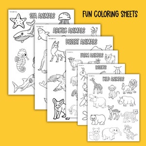 Animals Learning Preschool Bundle, Preschool Curriculum, Toddler ...