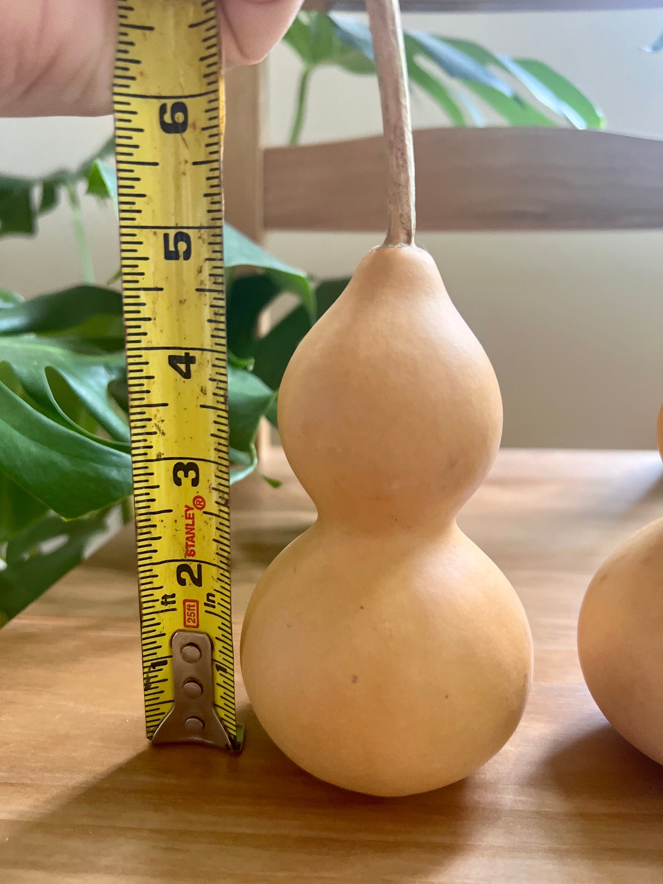 3 Little Friends, Natural Gourds About 5in Tall, Dry Clean and Ready ...