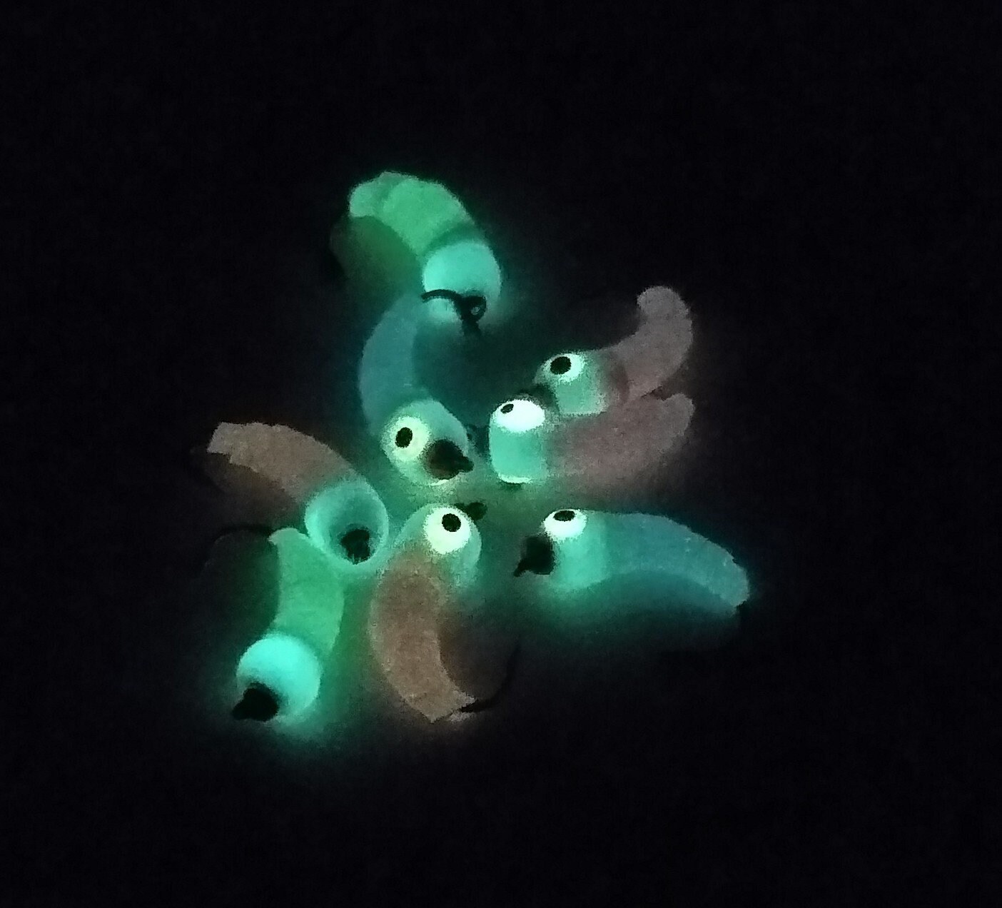 Glow Grub Size 12 Wide Gap. 4 Pack - Etsy