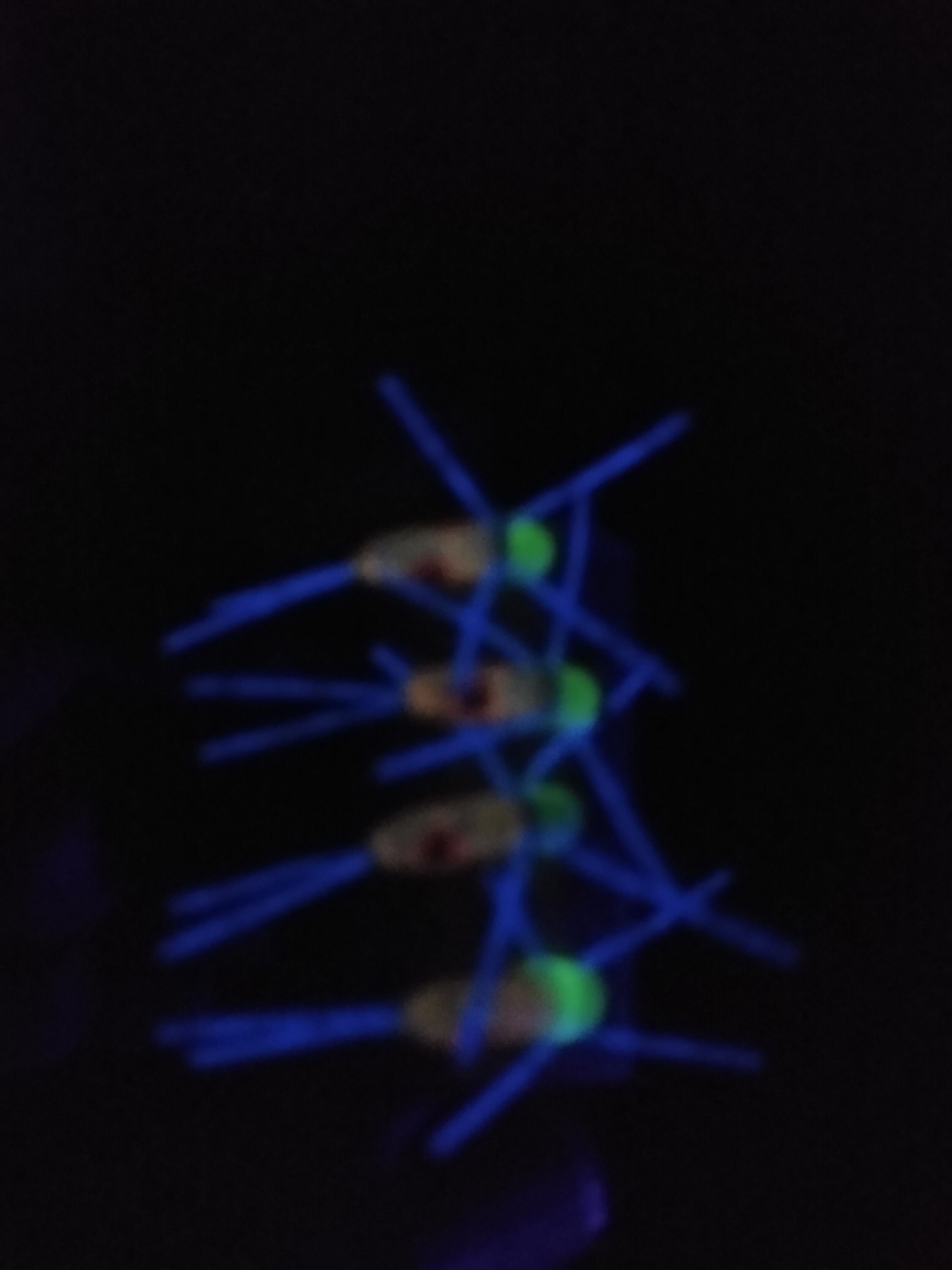 Size 10 Tungsten Larva Bug Tied on 90 Degree Jig Hook 4 Color Combo 4 ...