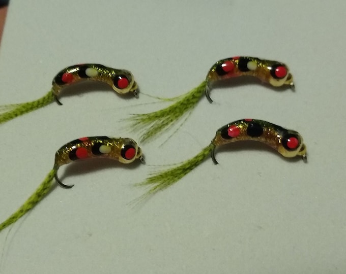 4 Pack Poxie Bugs Brown and Olive Size 10 - Etsy