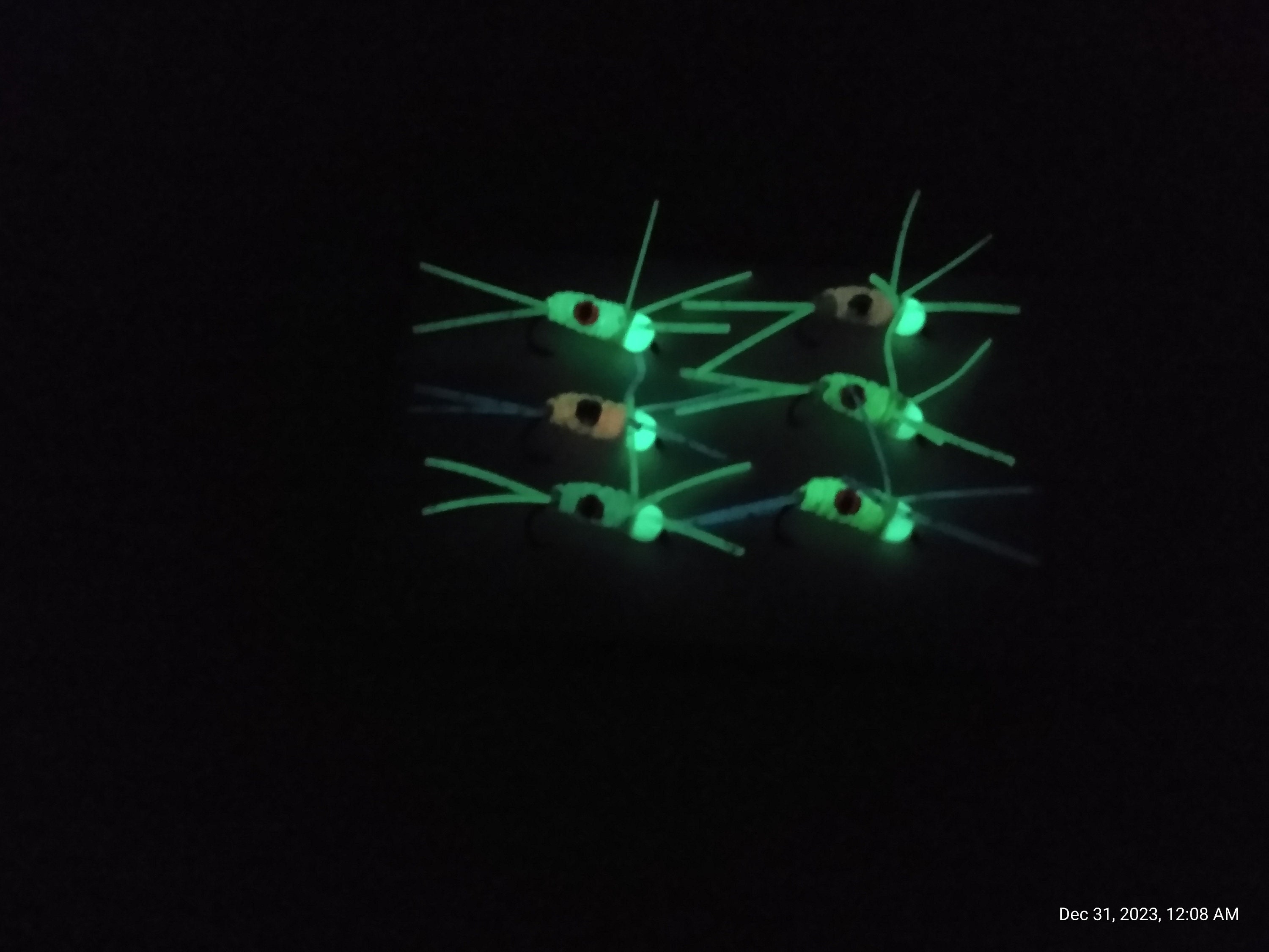 Larva Bug Combo Pack 6 Flies You Pick - Etsy