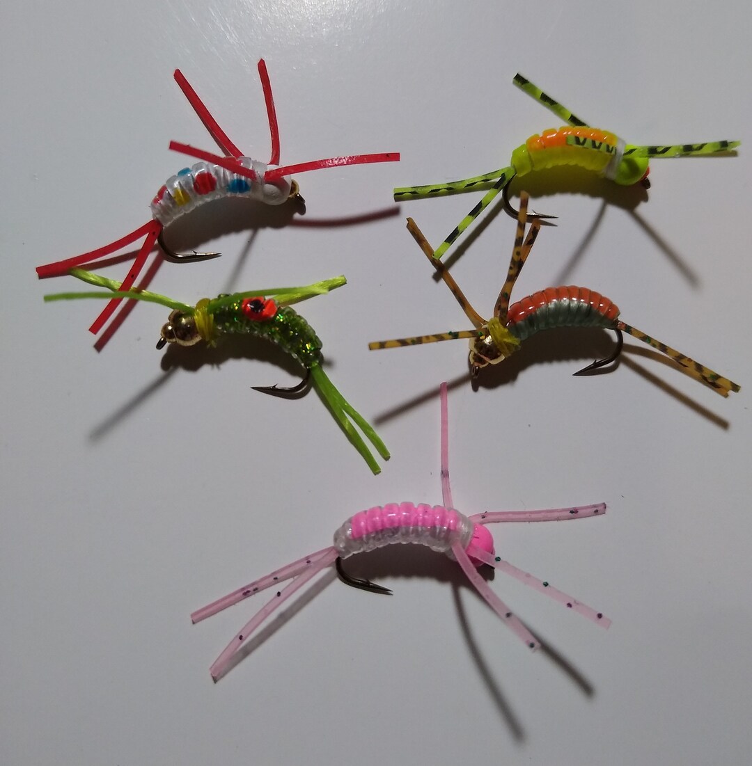 Tungsten Larva Bug. 5 Pack Assortment Size 10 Wide Gap. - Etsy