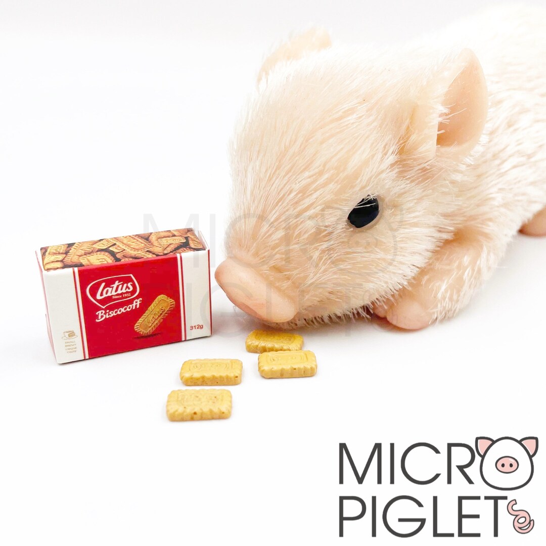 Silicone Piglet Food Lotus Pigscuits Silicone Piglet Reborn - Etsy