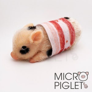 Micro Piglet Pigs in Blankets Costume Silicone Piglet - Etsy