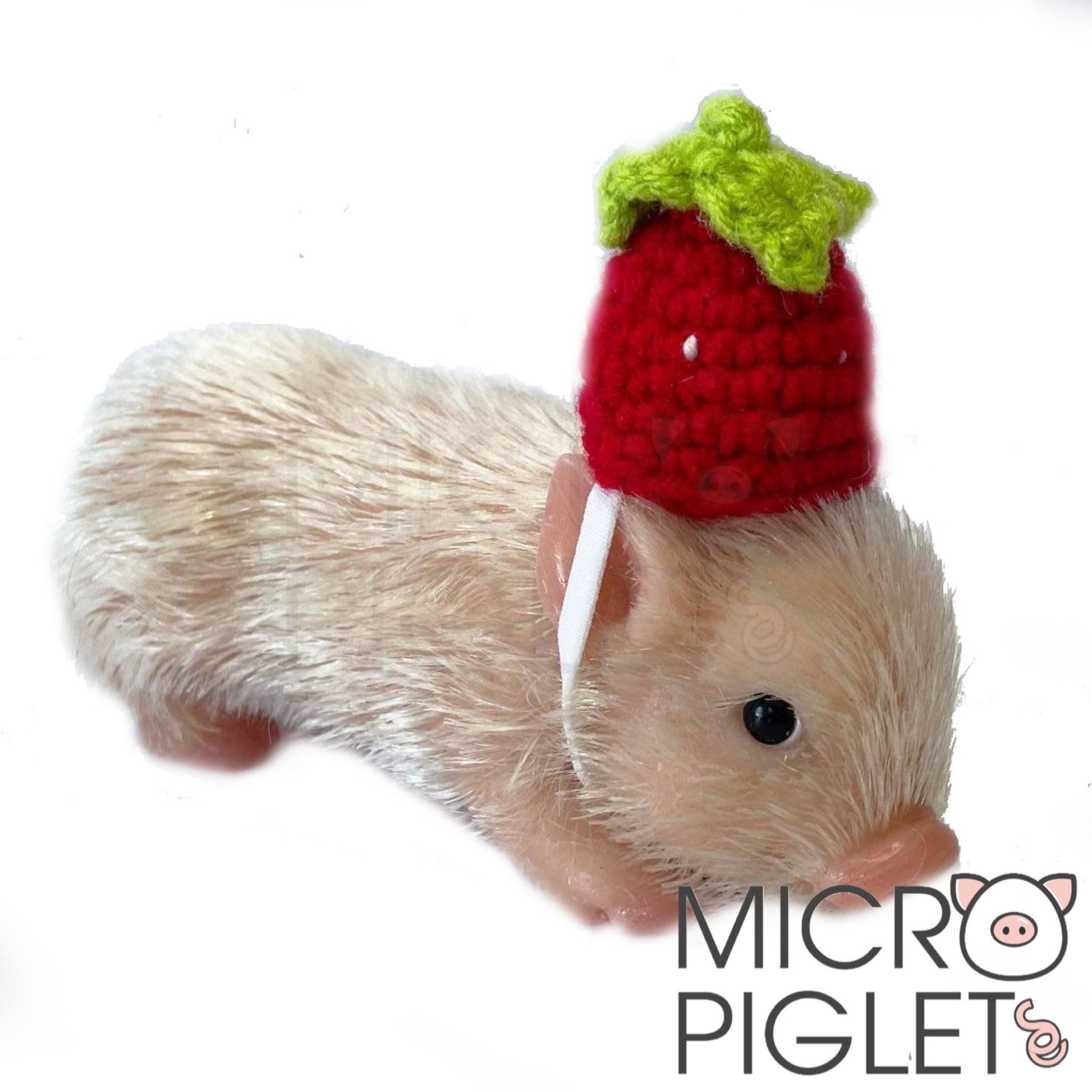 Micro Pigs Strawberry
