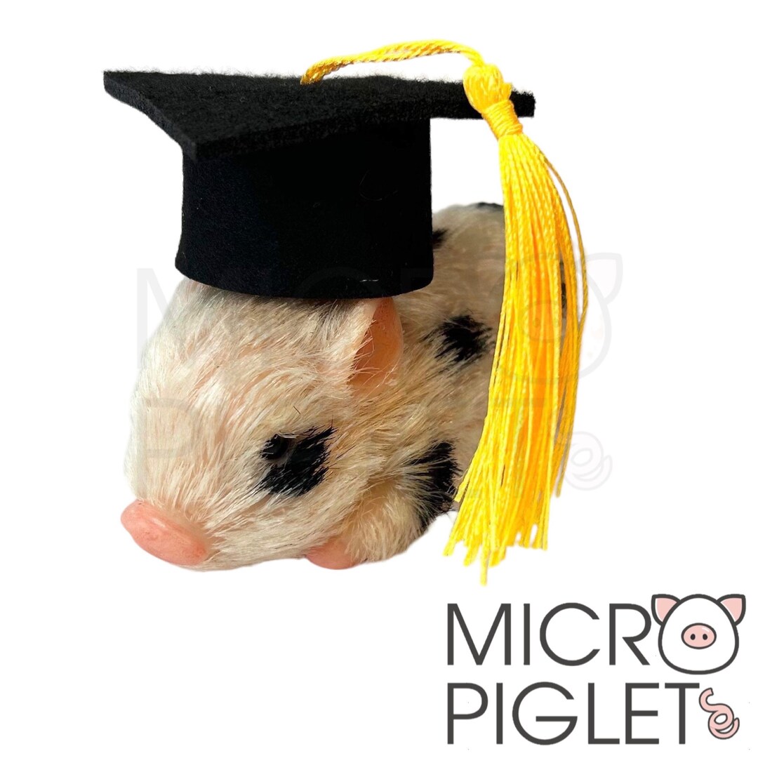 Micro Piglet Silicone Animal Graduation Hat Silicone Piglet - Etsy