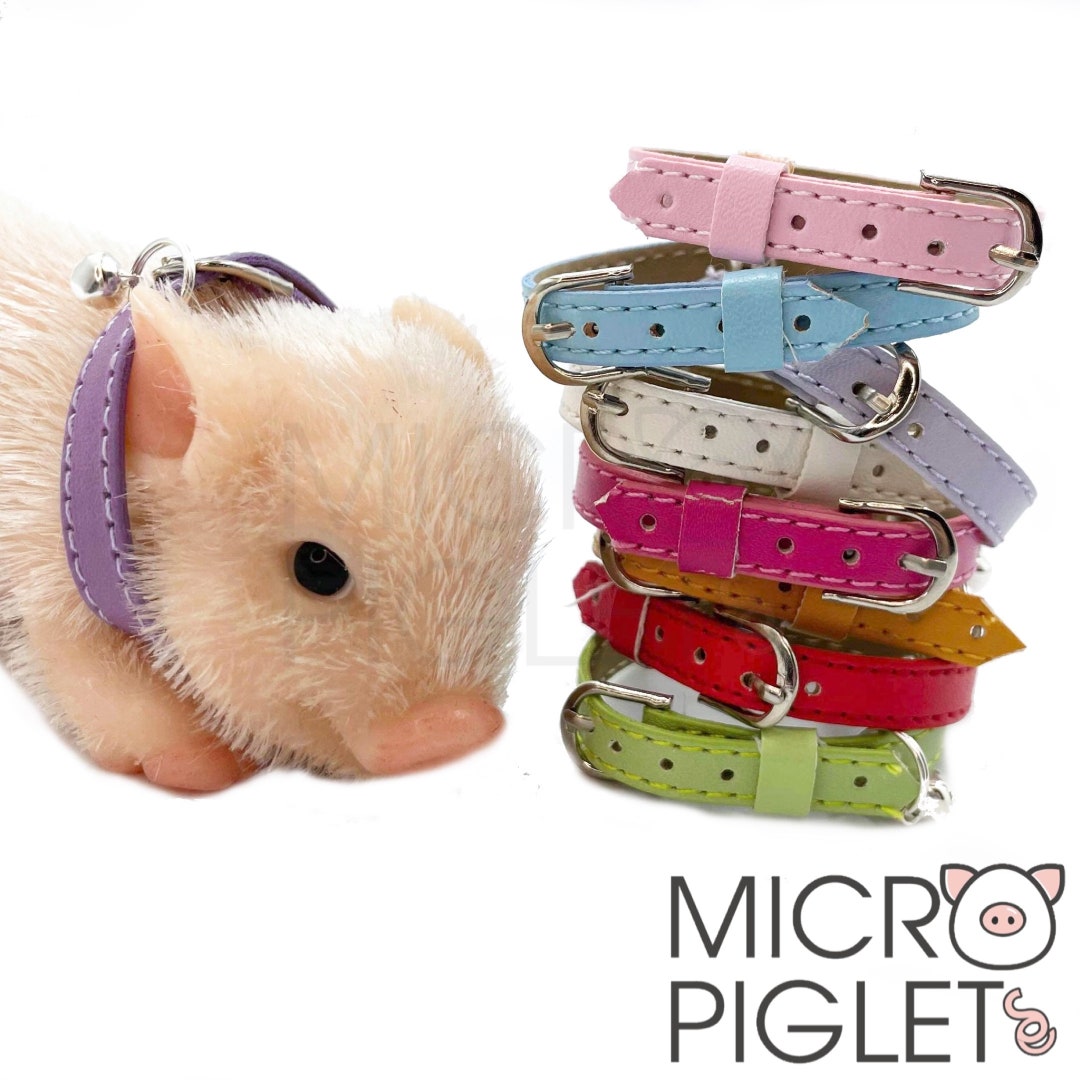 Micro Piglet Coloured Buckle & Bell Collars Silicone Piglet - Etsy