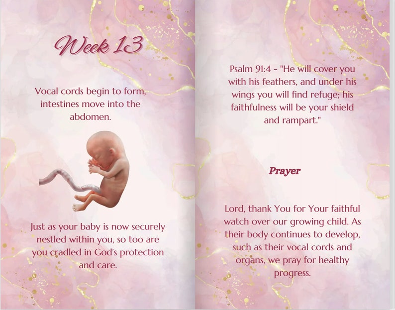 Praying Mothers Devotional: Prayers and Bible Verses for Expecting Mothers Week by Week Through ...