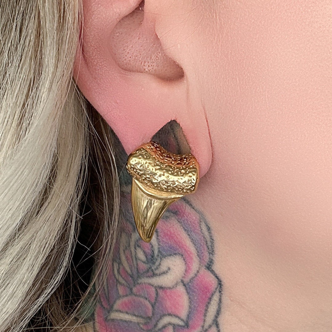 Pair of Tooth Ear Hangers, Stainless Steel Ear Hangers, Plugs and ...