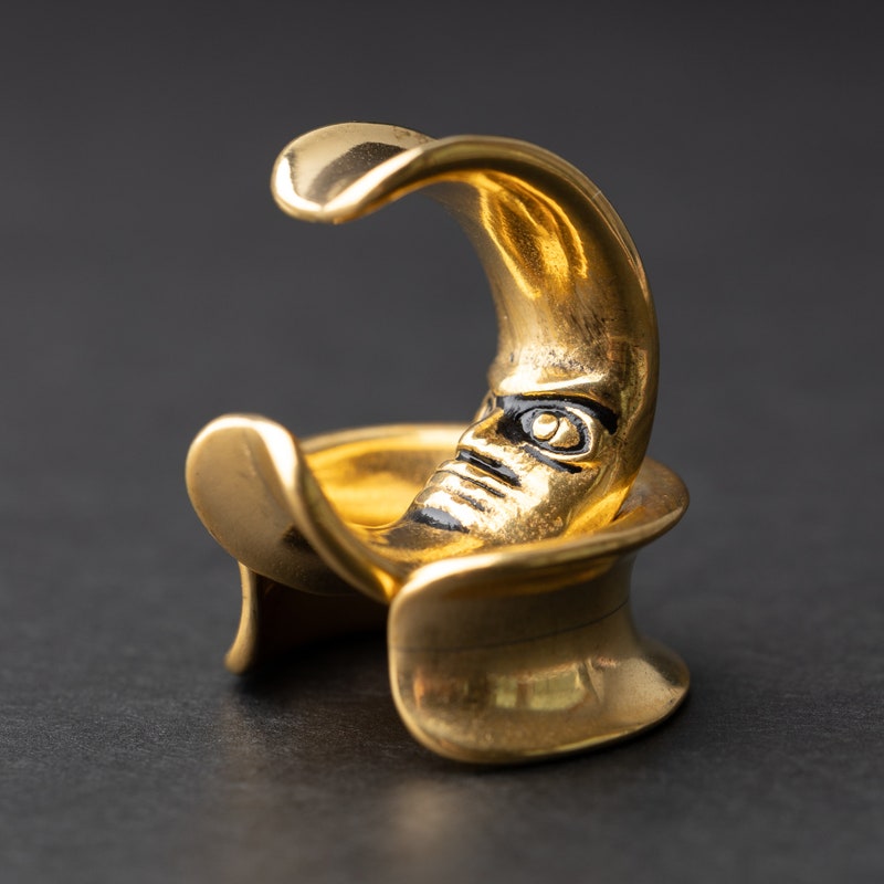 Gold Plugs - Etsy