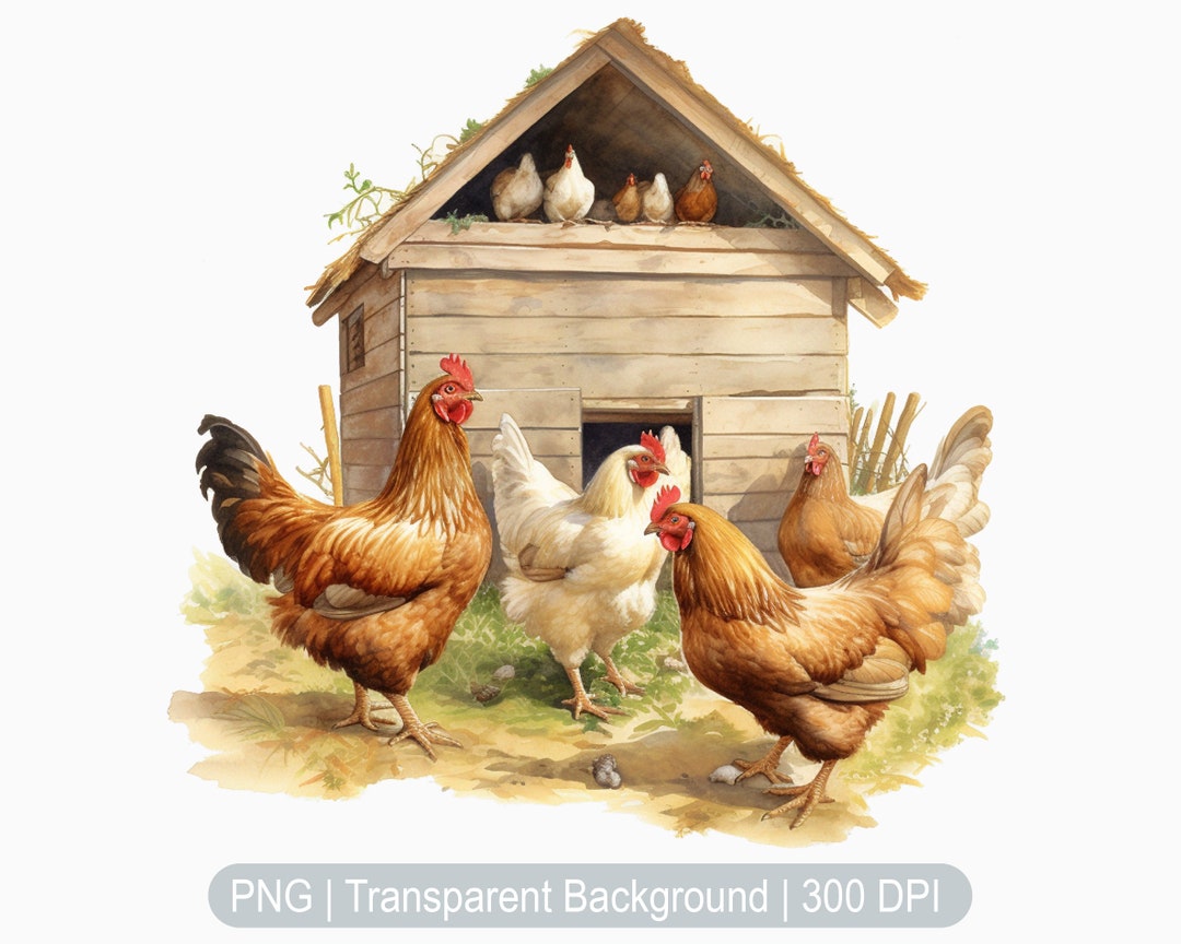 Watercolor Chicken Coop Clipart, Farm Animals Clip Art, Hen Clipart ...