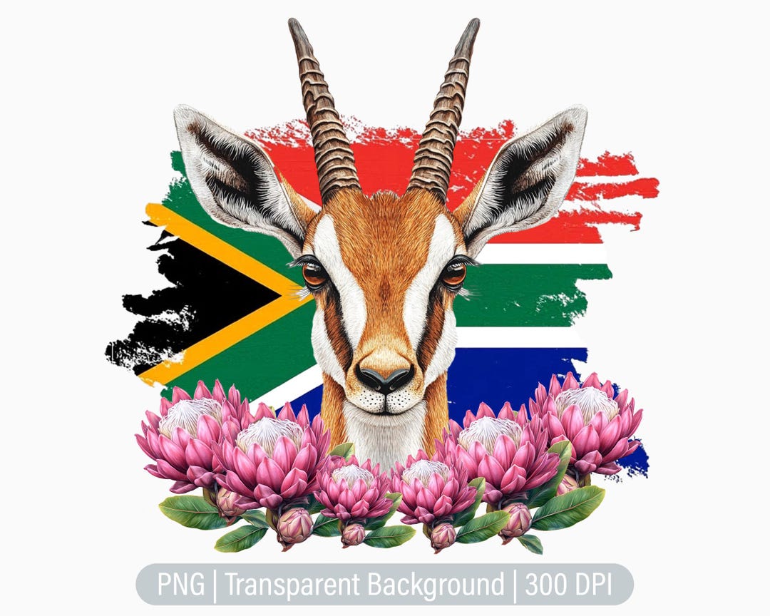 South African Springbok Clipart, Protea PNG, Antelope Clipart, Junk ...