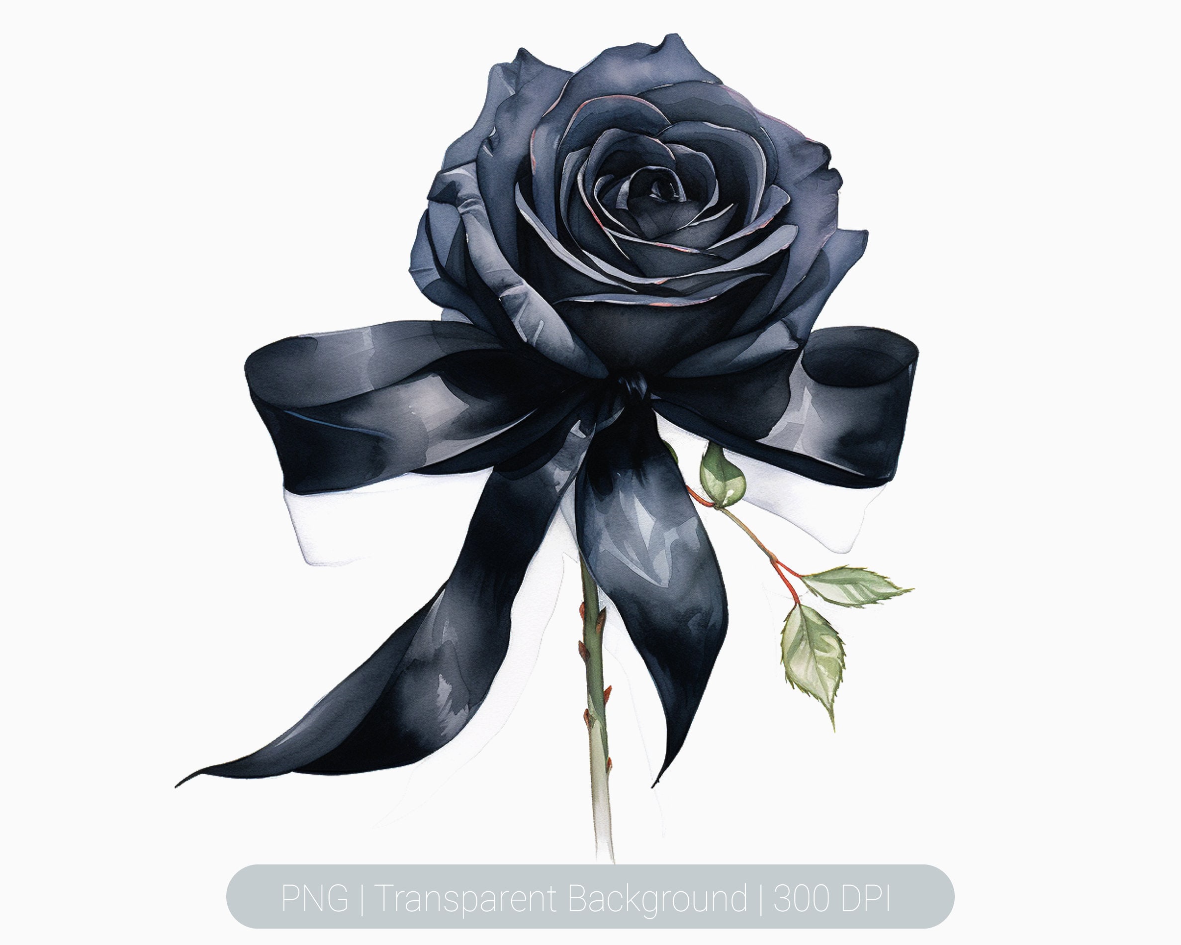 Watercolor Black Rose Clipart, Gothic Roses, Black Rose With Ribbon ...