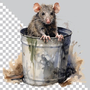 Rat in a Bucket Clipart, Gray Rat PNG, Rat Trash Can, Mouse Clipart ...