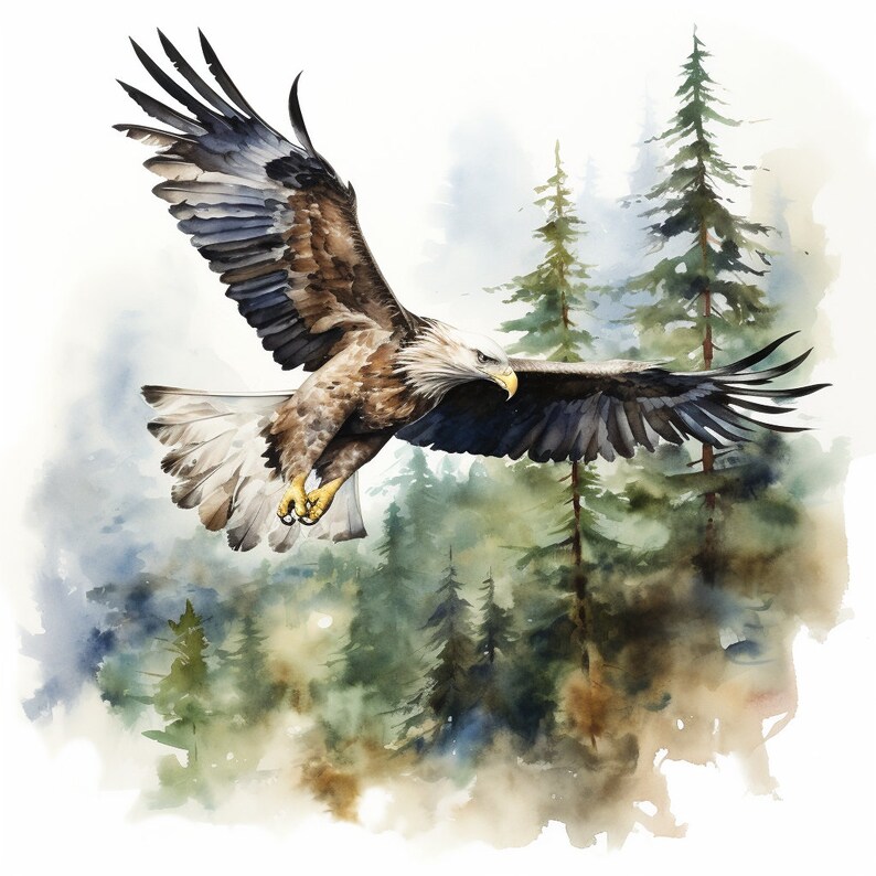 Watercolor Eagle Clipart Eagle Png Bald Eagle Illustration - Etsy