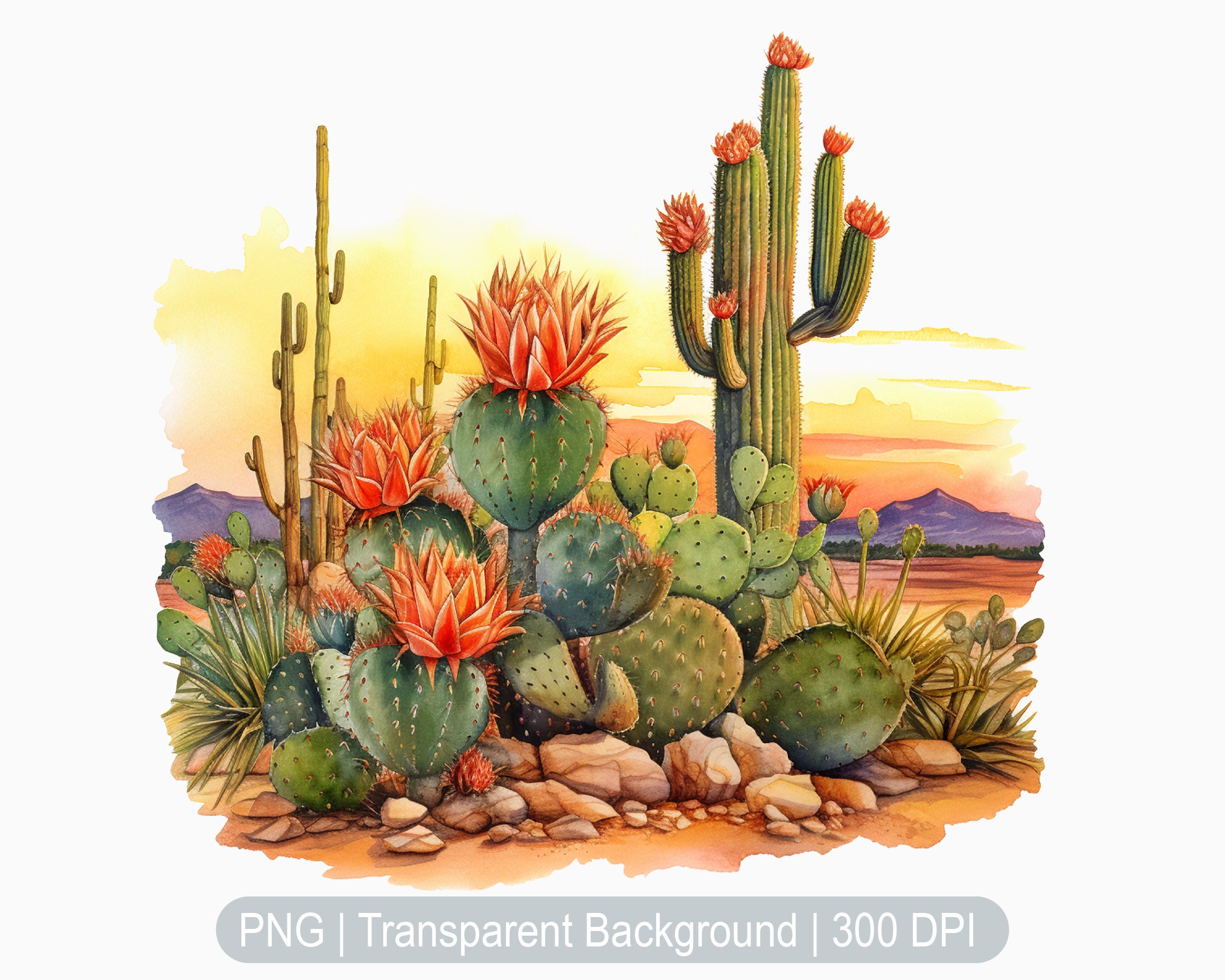 Watercolor Cactus Clipart, Desert Cactus Clipart, Sunset Desert ...