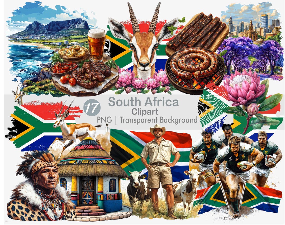 South Africa Clipart, Springboks Rugby PNG, Protea Flower, Braai ...