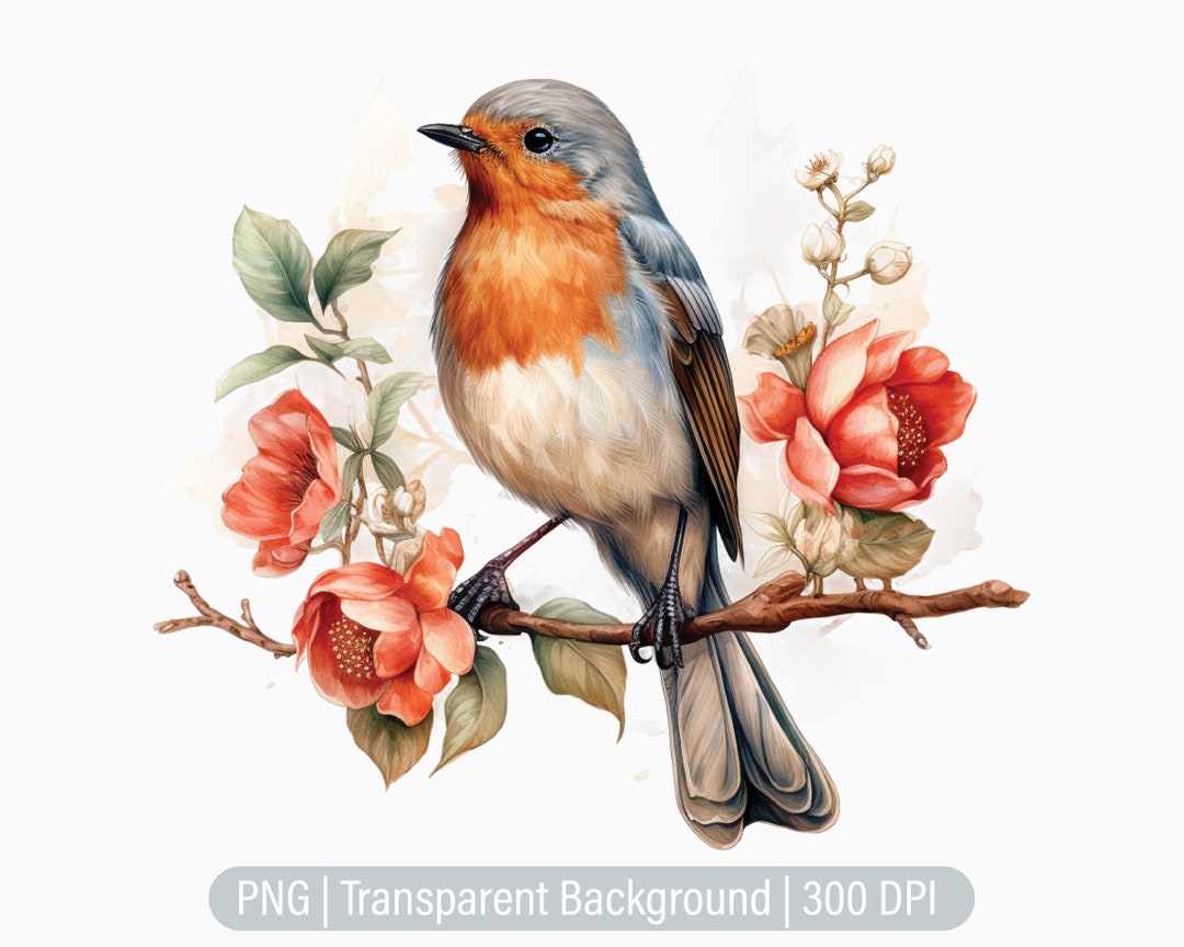 Robin Clipart, Floral Bird Png, Cute Flower Bird, Junk Journals ...